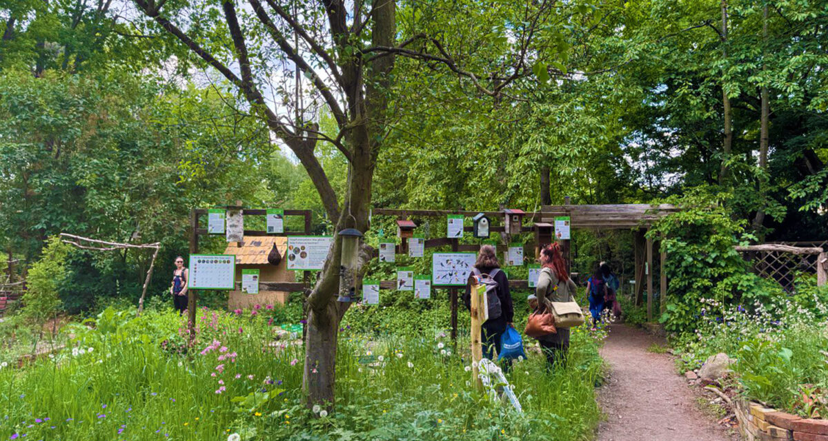 Connewitz in Leipzig | Tipps auf Leipzig-Leben.de